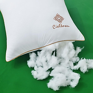 Cieltown Throw Pillows for Couch 12x20 Pillow Inserts Set of 2 White Euro Square Decorative Pillows for Bed Sofa Living Room Cojines Decorativos para Sala Cama (Champagne, 12 x 20 Inch Pack of 2)