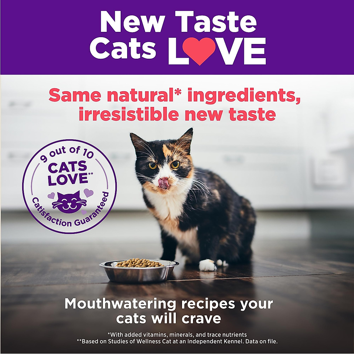 Wellness Complete Health Natural Dry Cat Food with Wholesome Grains, Made in USA with Real Meat (Adult, Salmon & Salmon Meal Recipe, 5-Pound Bag)