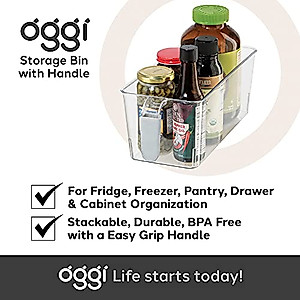 Oggi Set of 2 Refrigerator and Pantry Clear Storage Bins with Handles ( 11-inch x 6.25 inch x 3.4 inch )