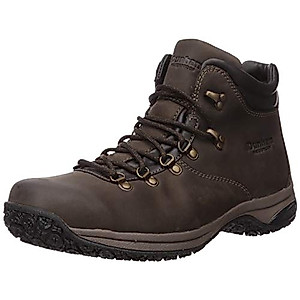 Dunham Men's Ludlow PT Boot Hiking, Brown, 8.5 Medium