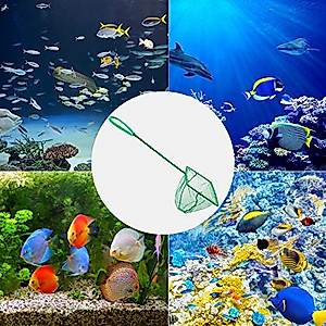 QXBXYHM 5 Pack Aquarium Fish Net, Multi-Size Fine Quick Fish Catch Nets Nylon Fishing Mesh Nets with Long Plastic Handle for Fish Tank - Green (3in, 4in, 5in, 6in, 6in)