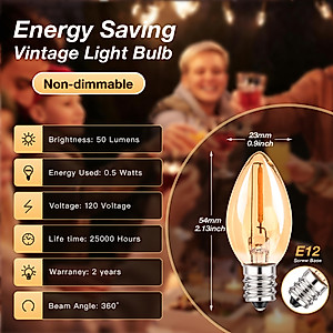 C7 LED Night Light Bulbs 0.5W, E12 Candelabra Base Candle Light Bulb Warm 2200K Equivalent 5W/7W Incandescent Bulb, Mini Light Bulbs for Chandelier Nightlight Salt Lamp Window Bulbs (2 Pack Gold)