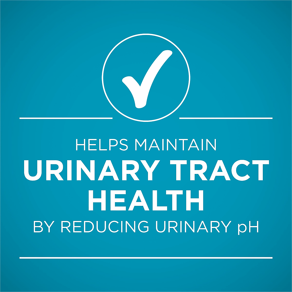 Purina ONE Urinary Tract Health, Natural Pate Wet Cat Food, Urinary Tract Health Beef & Liver Recipe - (Pack of 24) 3 oz. Pull-Top Cans