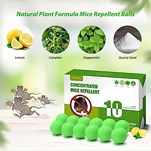 MAGIC CAT Rodent Repellent Peppermint Oil to Repel Mice & Rats, 10 Pack Natural Rat Deterrent for Indoor Home Pet Family Safe, Mouse Stopper for Car Engine RV Truck Garage Closet Boat Rodent Control