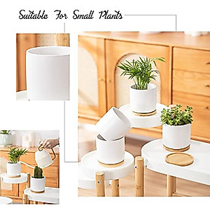 OMAYKEY 4 Inch Ceramic Plant Pot with Bamboo Saucer, White Planters Pots with Drainage Hole and Mesh Pads for Succulent, Snake, Cactus, Herbs - 4 Packs(Plant Not Included)