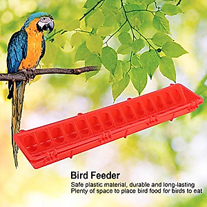 Bird Feeder, 5Pcs/Set Bird Feeder Container, for Starlings for Pigeons for Parrots
