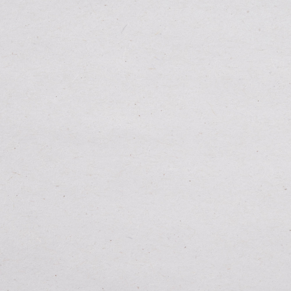 Off-White Colored Paper Placemat with Scalloped Edge - 1000/Case Size: 10" x 14" by Guffman