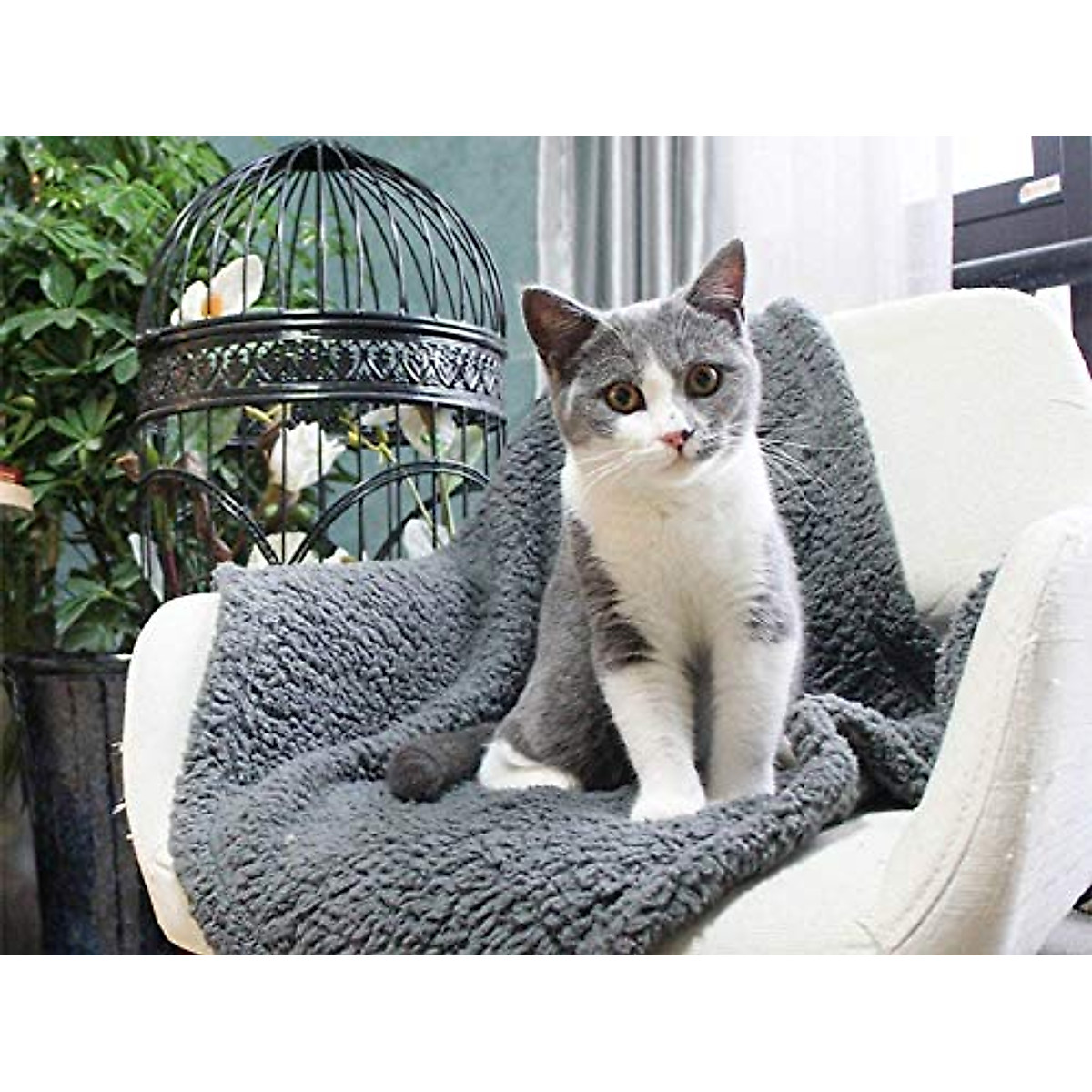 furrybaby Premium Fluffy Fleece Dog Blanket, Soft and Warm Pet Throw for Dogs & Cats (Small (24 * 32"), Grey Blanket)