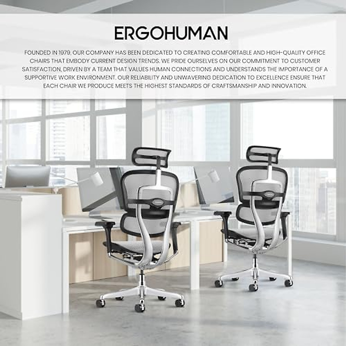 Ergohuman Eurotech ME7ERG GEN2 High Back Mesh Office Chair with Tilt Tension Control, Tilt Lock, Back Angle, Back Height, Synchro Tilt, Seat Height, Seat Depth, and Arm Height Adjustments, Grey
