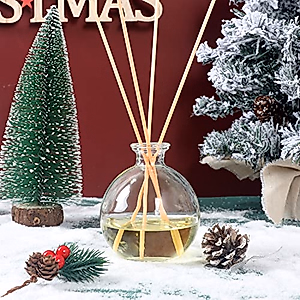 Magic Season Decorative Glass Bottles with Cork Stoppers (9 fl oz. Potion Bottles / 2 Pcs)