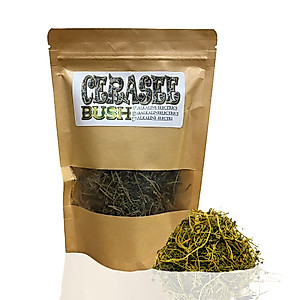 Cerasee | Bitter melon | Bush Tea | Wildcrafted from Jamaica | Responsible Harvested | Resealable Packaging Ensures Freshness | Momordica Charanta | 100% Natural | 1oz