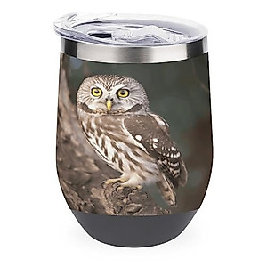 WYUSPGK 304 Stainless Steel Insulated Cup, Wildlife Animal Owl Print Smooth Rim, Durable & Reusable - Perfect for Office, Home, And Travel