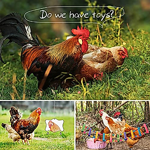 KAKUNM Chicken Toys for Coop 9PCS- Chicken Xylophone, Chicken Swing, Chicken Mirror, Chicken Flexible Ladder, Chicken Vegetable String Bag and Hanging Feeder