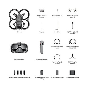 DJI Avata Fly Smart Combo (DJI FPV Goggles V2) - First-Person View Drone UAV Quadcopter with 4K Stabilized Video, Super-Wide 155° FOV, Built-in Propeller Guard, HD Low-Latency Transmission