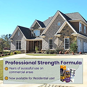 Flock Free Bird Repellent Spray, Residential Bird Problem Solution Bird Control, 4 oz Concentrate (1)