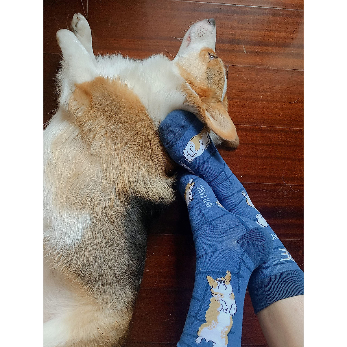 ANTI BASIC Novelty Crew Vintage Car Socks Gift for Retired Old Men（fits men shoe size 7-12）（corgi）