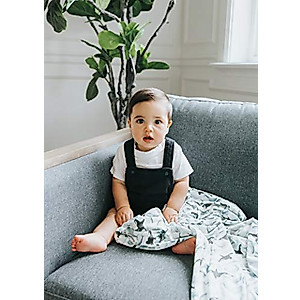 Copper Pearl Large Premium Knit Baby Swaddle Receiving Blanket Kai