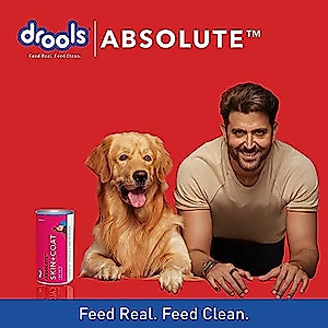 Absolute Skin + Coat Syrup- Dog Supplement, 300ml