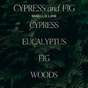 Sweet Water Decor Cypress and Fig Candle | Cypress, Eucalyptus, Ripe Fig, Woodsy Scented Soy Wax Candle for Home | Made in The USA