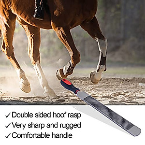 wevsuipo Horseshoe File, 18 Inches Black Farrier Hoof Rasp Tool with Handle, Suitable for Repair Horse Hooves, Goat Hooves, Cow Hooves and Wood Working