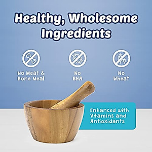 Blue Buffalo Health Bars Natural Crunchy Dog Treats Biscuits, Bacon, Egg & Cheese 16-oz Bag