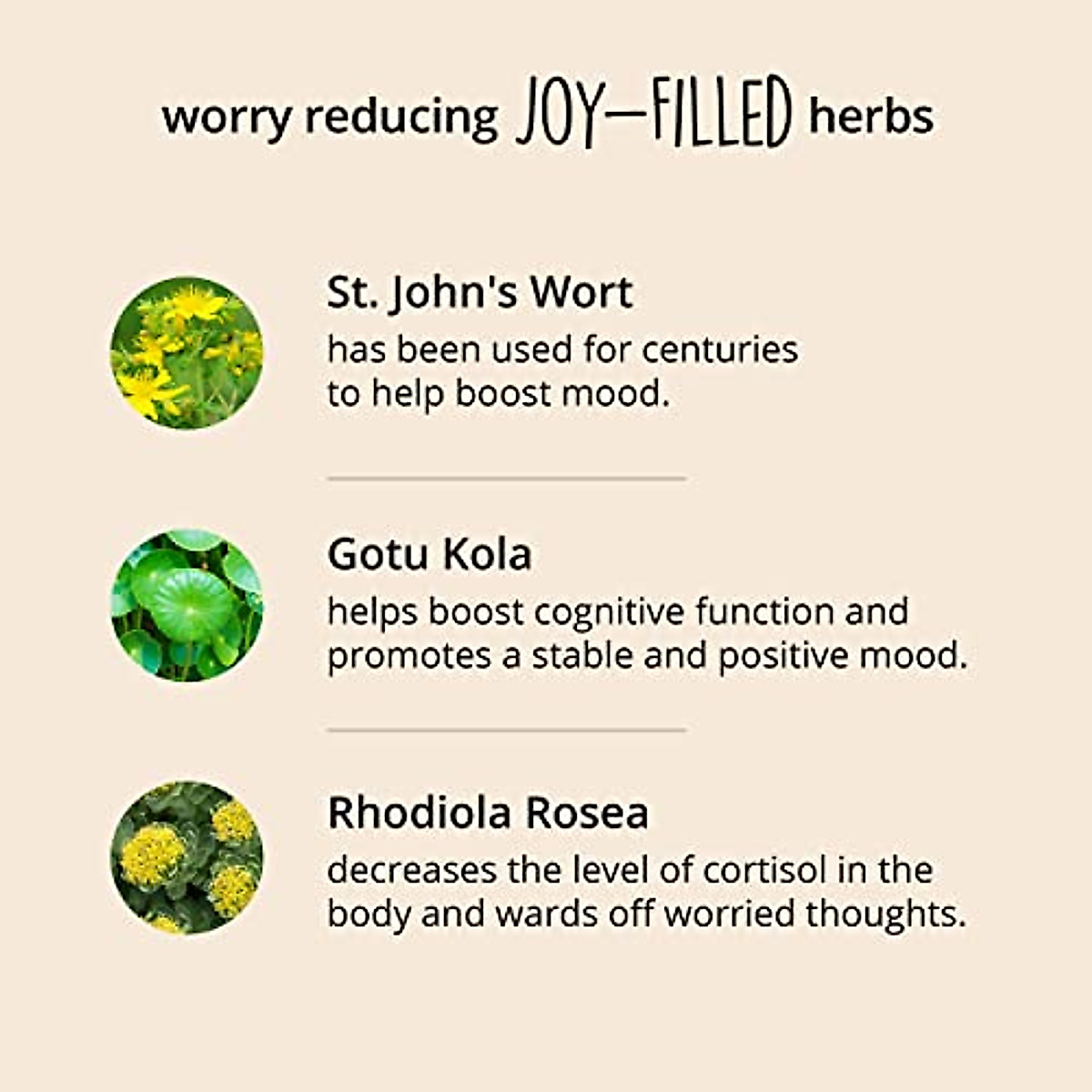Joy-Filled Mood Support Supplement with St Johns Wort | Helps Calm The Mind & Body, Stress Relief Energy Supplements | 100% Plant-Based | Ashwagandha, Rhodiola, Eleuthero | Herbal Adaptogens, 60 ct