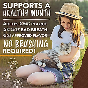 TropiClean Enticers Cat Teeth Cleaning Treat Gel | Honey Chicken Flavored Cat Toothpaste Alternative | 2 oz