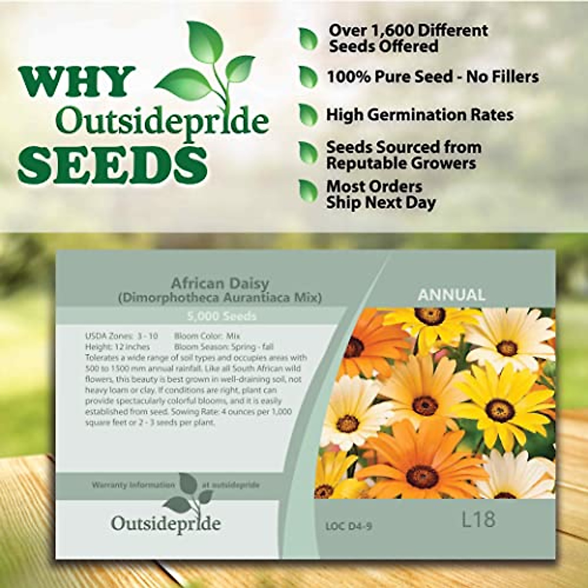 Outsidepride African Daisy Cape Marigold Butterfly Attracting Wild Flowers - 5000 Seeds