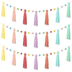 3 Pieces Colorful Rainbow Tassel Garland Pom Pom Garland Boho Tassel Garland Classroom Each 50 Inch Colorful Tassel Garland Banner Decorative Wall for Baby Kids Shower Christmas Decor (Rainbow Colors)