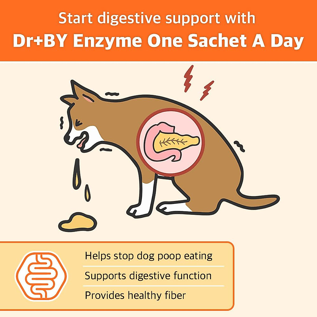 Doctor By Enzyme for Dogs Digestive Enzyme Supplements for Dogs with Protease, Amylase, Lipase - Promotes Digestion and Improves Nutrient Absorption - 30 Individually Packaged (1 Pack)