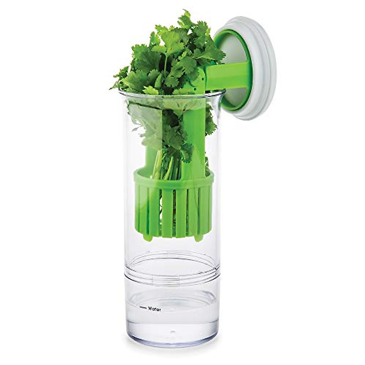 Prepworks by Progressive Prep Solutions Produce Keeper