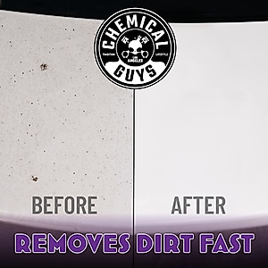 Chemical Guys CWS21616 Blueberry Snow Foam Car Wash Soap (Works with Foam Cannons, Foam Guns or Bucket Washes), Safe for Cars, Trucks, SUVs, Jeeps, Motorcycles, RVs & More, 16 fl. Oz