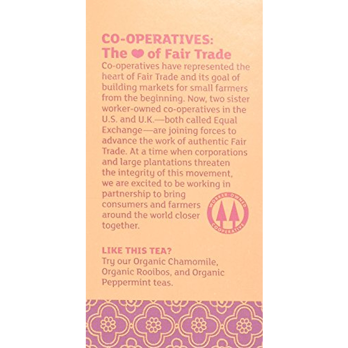 Equal Exchange Organic Vanilla Rooibos Tea, 20-Count (Pack of 3)