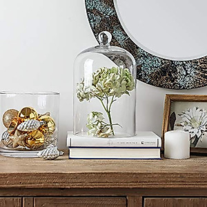 WHOLE HOUSEWARES | Cloche Glass Dome | Clear Glass Bell Jar | DIY Snow Globes | Decorative Cloche Jar | Glass Cloche to Cover Plants and Decorations | Cloche Jar for Home Décor (6"x10")