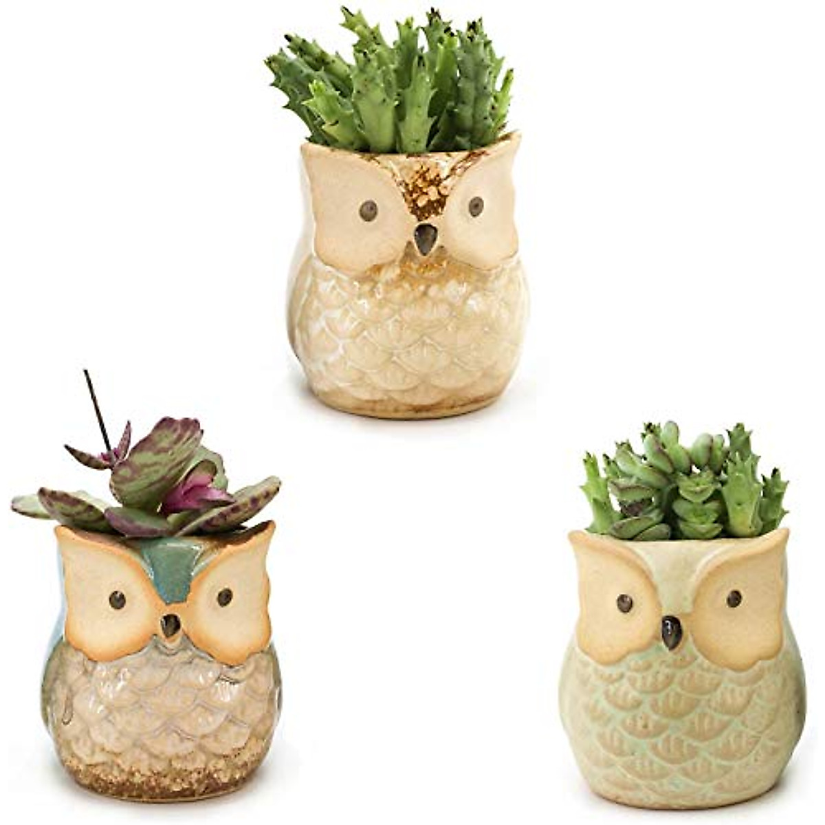 Weierken 12PCS Owl Pot Ceramic Flowing Glaze Base Serial Set Mini Succulent Plant Pot Cactus Plant Pot Container Planter Bonsai Pots with A Hole