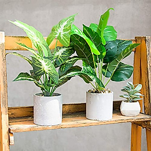 Der Rose 2 Pack Fake Plants Artificial Potted Faux Plants for Office Desk Home Farmhouse Decor