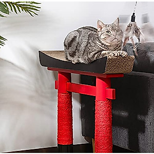 Whefory Retractable Cat Fishing Pole, Cat Toys Wand for Indoor Cats, Cat Fishing Rod for Kitten with 11 Pcs Refills(Feather&Mice)