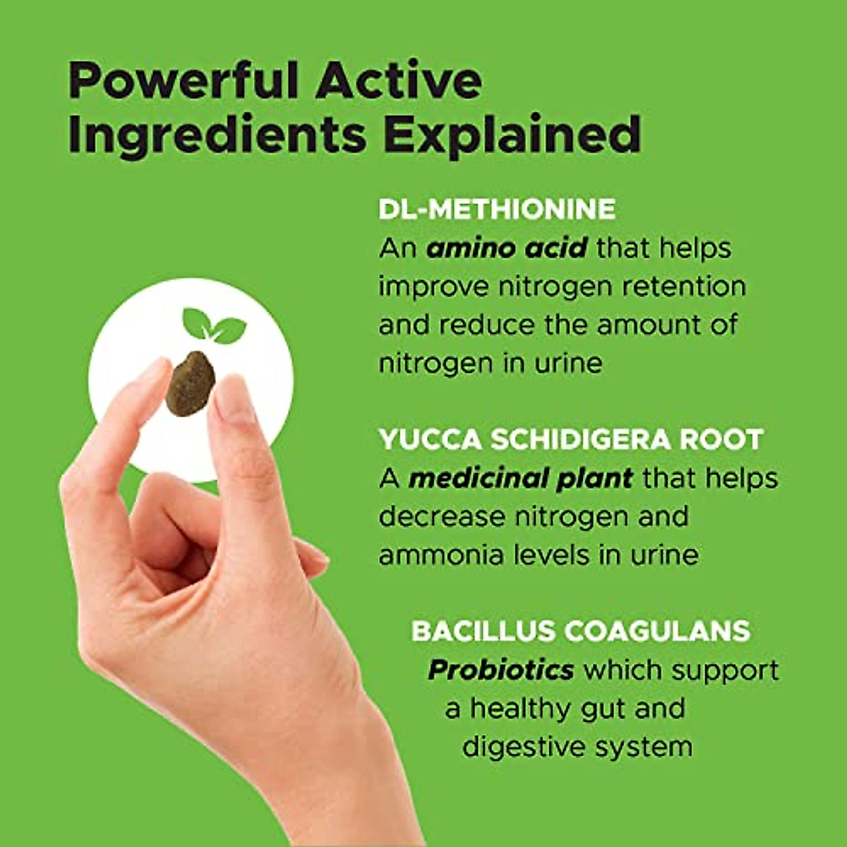 PetHonesty Grass Green - Grass Burn Spot Chews for Dogs - Dog Pee Grass Spot Saver Caused by Dog Urine - Dog Urine Neutralizer for Lawn - Cranberry, Apple Cider Vinegar, Dog Rocks - Duck (90 ct)