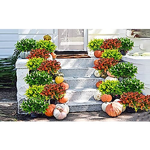 Uieke 6Pcs Outdoor Artificial Plants UV Resistant Fake Flowers Plastic Plants Morning Glory Greenery Shrubs for Outside Home Garden Patio Window Box Summer Fall Décor Red