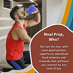 Garden of Life Tasty Organic Vanilla Chai Meal Replacement Shake Vegan 20g Complete Plant Based Protein, Greens, Digestive Enzymes, Pro & Prebiotics for Easy Digestion – Non-GMO Gluten-Free, 2.4 LB