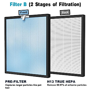 2 Packs Replacement Filter Compatible with HSP001 Filter Replacement,4-in-2 filters of H13 True HEPA Filter