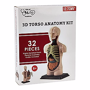 Human Anatomy Model | 32 Piece Human Body Puzzle | Perfect for Anatomy Study | Build Your Own Anatomy Museum | Torso Anatomy Model for Learning | Great Gift for Nurse, Dentist, Medical Students