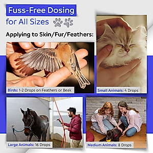 Pet Essences - Vomiting Formula for Dogs, Cats & Horses, 1oz - Natural Flower Essences for Chronic Cat Vomit Due to Fear and Trauma - Easy to Use and Safe for All Ages & Breeds