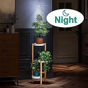 Plant Stand Indoor with Round Iron Plates, 3 Tiered Plant Stands for Indoor Plants Multiple, Bamboo Corner Plant Stand for Window Garden Balcony Living Room