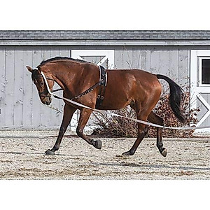 Dover Saddlery Fleece and Nylon Surcingle, Size Horse, Black