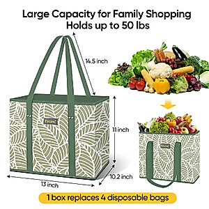 BALEINE 3Pk Reusable Grocery Bags, Foldable Shopping Bags for Groceries with Reinforced Bottom & Handles (Antique Foliage)