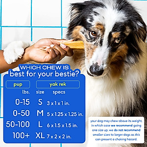 Native Pet Dog Allergy Chews (60 Chews) & Yak Chews for Dogs (5 Small Chews)