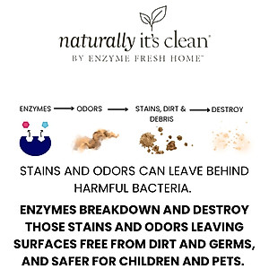 Naturally It's Clean Floor Enzyme Floor Cleaner | Safer For Pets and Kids | Powerful Plant Based Enzyme Formula Cleans Hardwood, Tile, and Floors Stain Free | 24 Gallon Rinse Free Concentrate | 1 Pack
