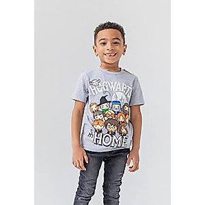 Harry Potter Big Boys 3 Pack Pullover T-Shirts Blue/Grey/Red 10-12