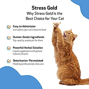 Pet Wellbeing Stress Gold for Cats - Occasional High Stress and Restlessness, Supports Relaxation, Travel, Vet Trips, Skullcap, Valerian - Veterinarian-Formulated Herbal Supplement 2 oz (59 ml)